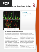ORGANELLE SPEED DATING Profile Template | PDF | Organelle | Cell (Biology)
