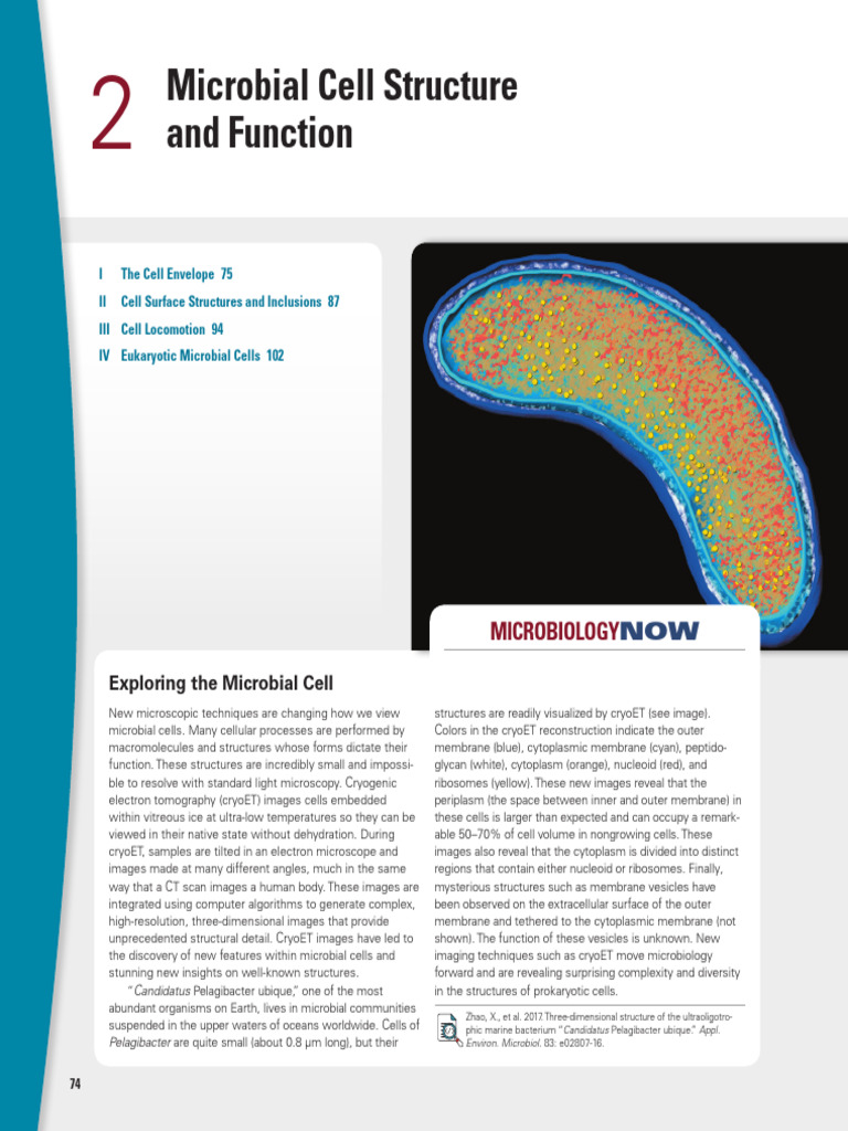 Chapter 2 Unit 1 Brock Biology of Microorganisms, eBook, Global Edition | PDF | Cell Membrane ...