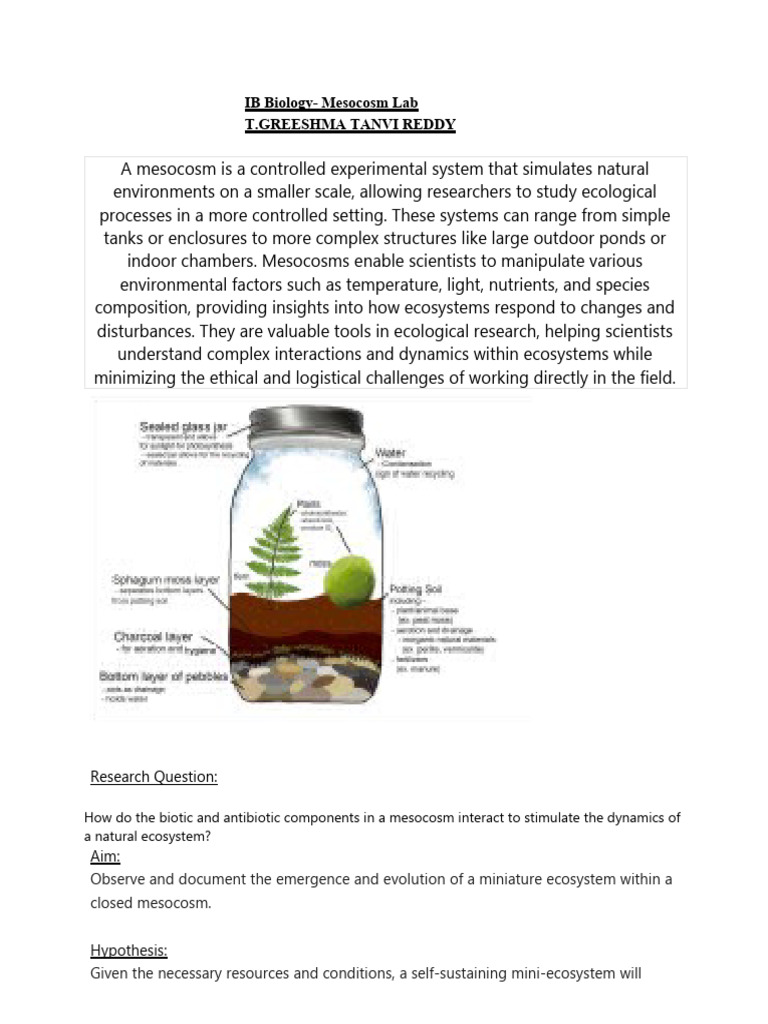 Bio Feb Codefile T.greeshma Tanvi Reddy | PDF | Ecosystem | Soil