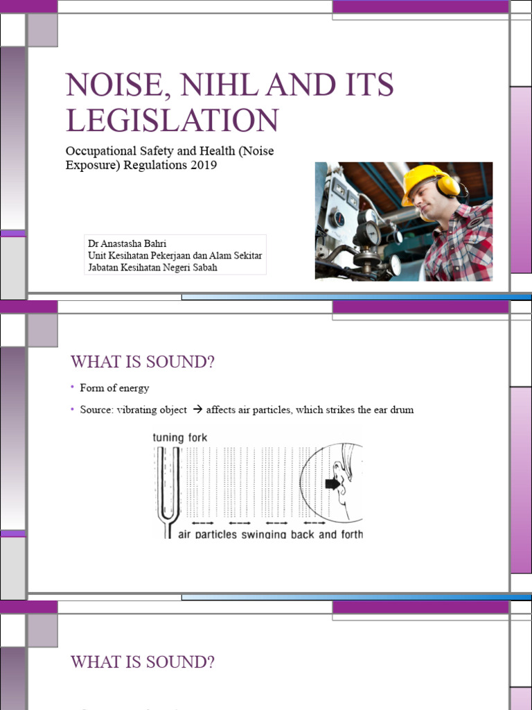 Noise, NIHL and Legislation | PDF | Hearing Loss | Noise