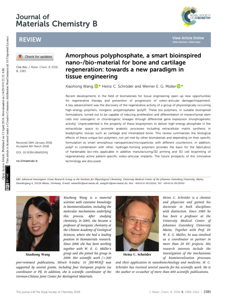 review PolyP in tissue engineering | PDF | Bone | Osteoblast