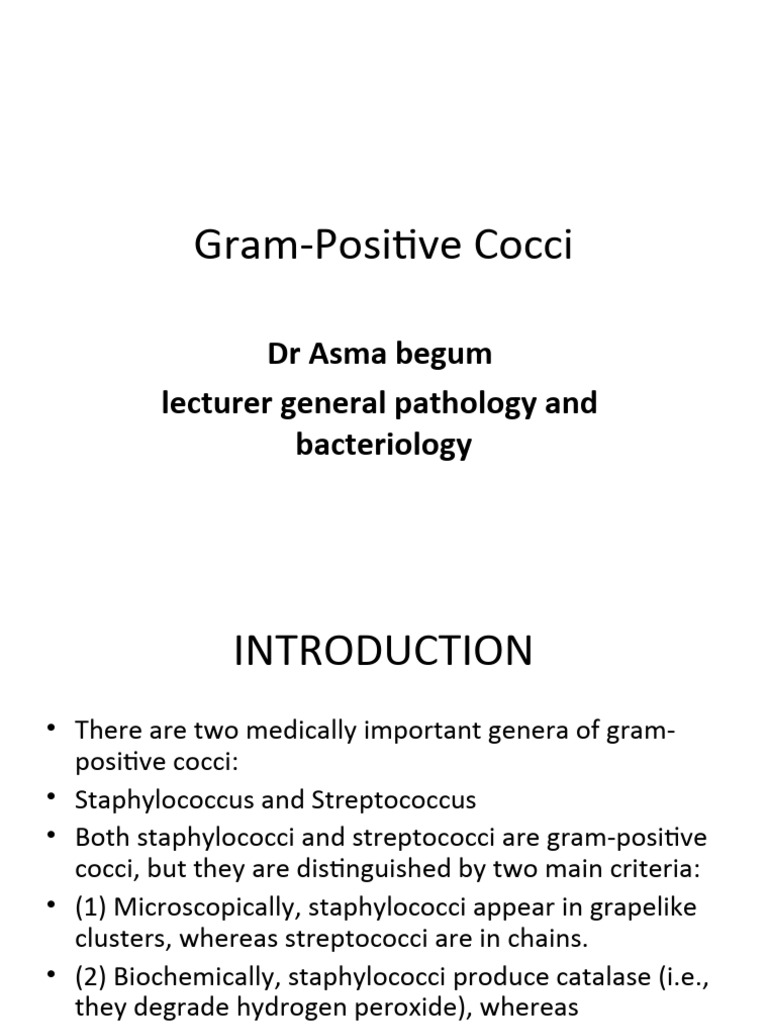 Gram-Positive Cocci 2 | PDF | Streptococcus | Staphylococcus Aureus