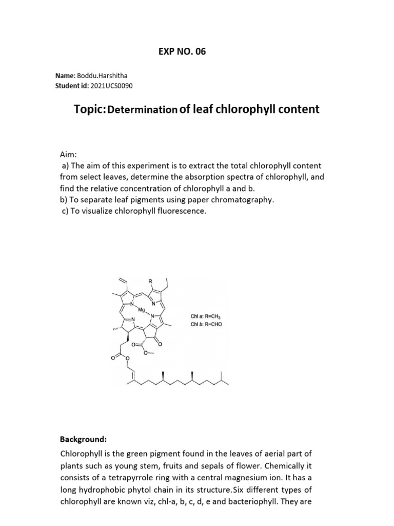 Biology | Download Free PDF | Chlorophyll | Photosynthesis