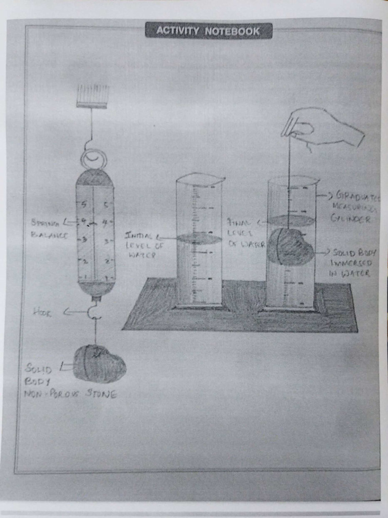Class 9 Practicals 2 | PDF