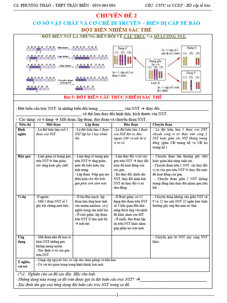 5.S12 Bài 5,6 | PDF