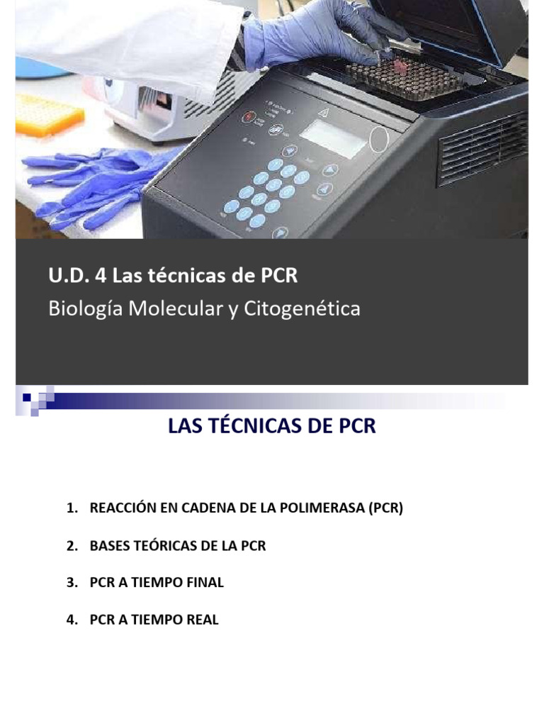 PCR Parte 1 | PDF | Reacción en cadena de la polimerasa | Primer ...