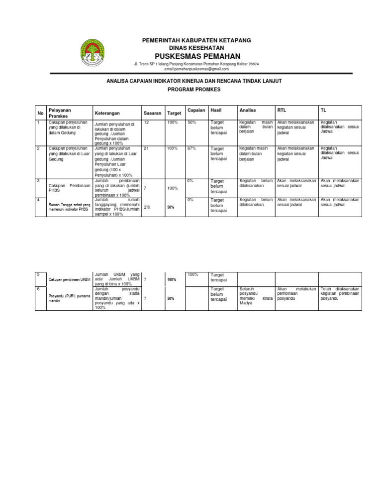 Analisa Capaian Kinerja Promkes | PDF