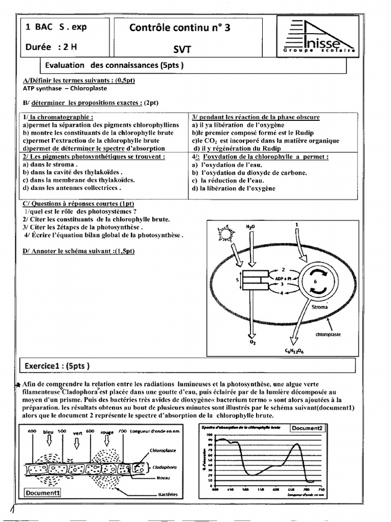 Devoir-3-Modele-2-Svt-1-Bac-Sc-Ex-Semestre-1 - Copie | PDF