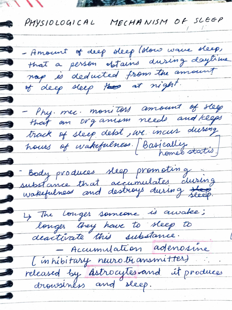 Mechanisms of Sleep Regulation | PDF | Physiology