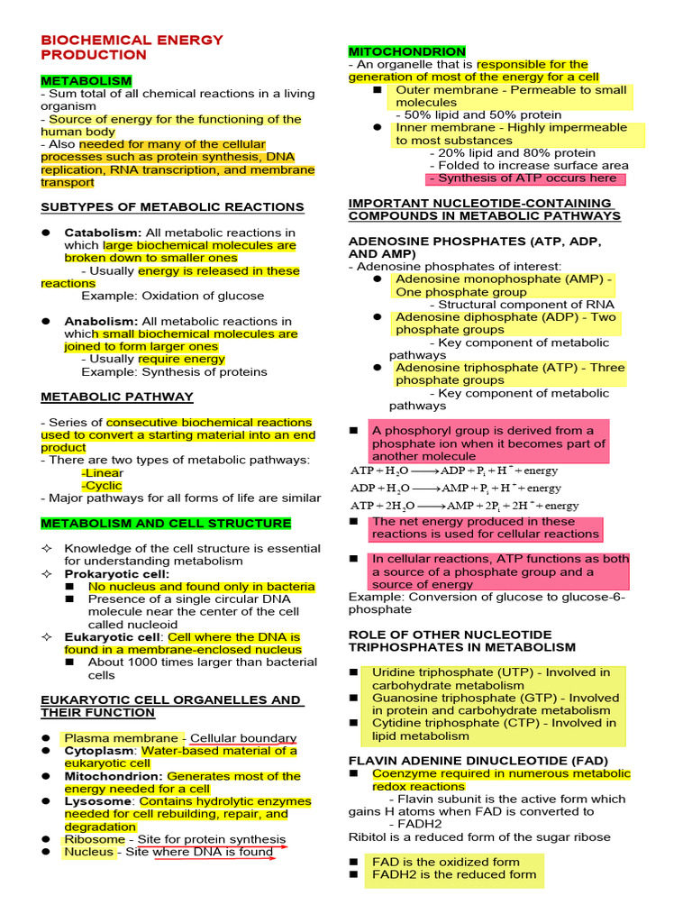 Biochem Final Reviewer | PDF | Glycolysis | Adenosine Triphosphate