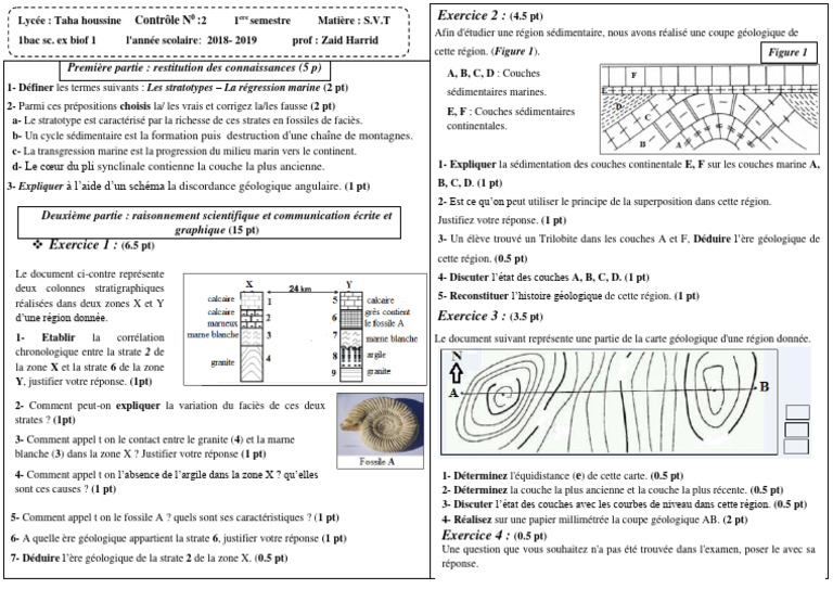 Analyse des Faciès Géologiques et Fossiles | PDF | Géologie | Strate