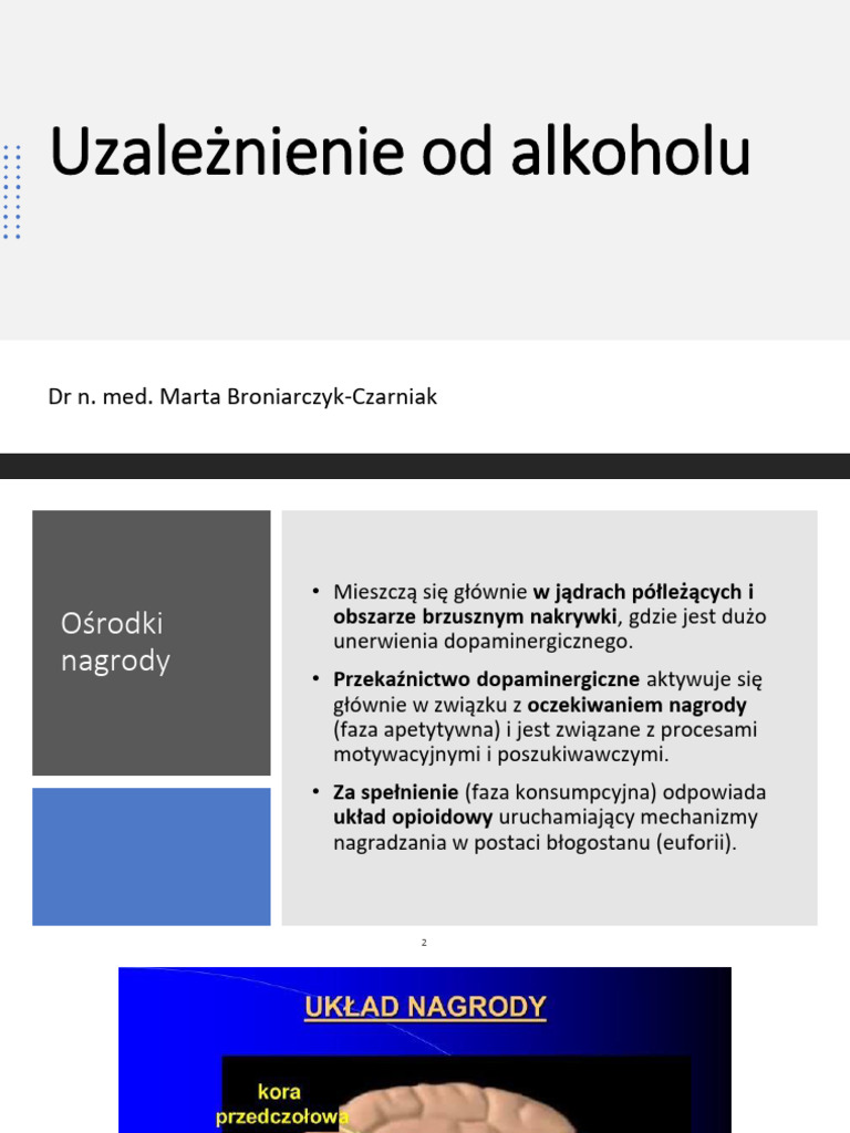 Uzależnienie Od Alkoholu 2 | PDF