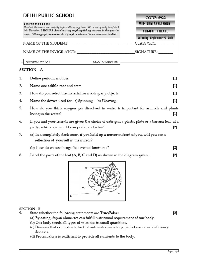 MT Vi Science 220918 | PDF | Yarn | Vitamin
