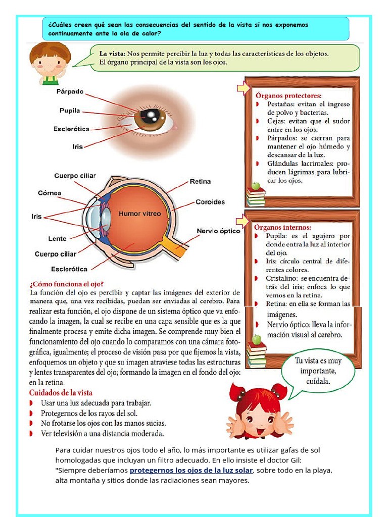 Protección Ocular: Consejos y Consecuencias | PDF | Ojo | Color