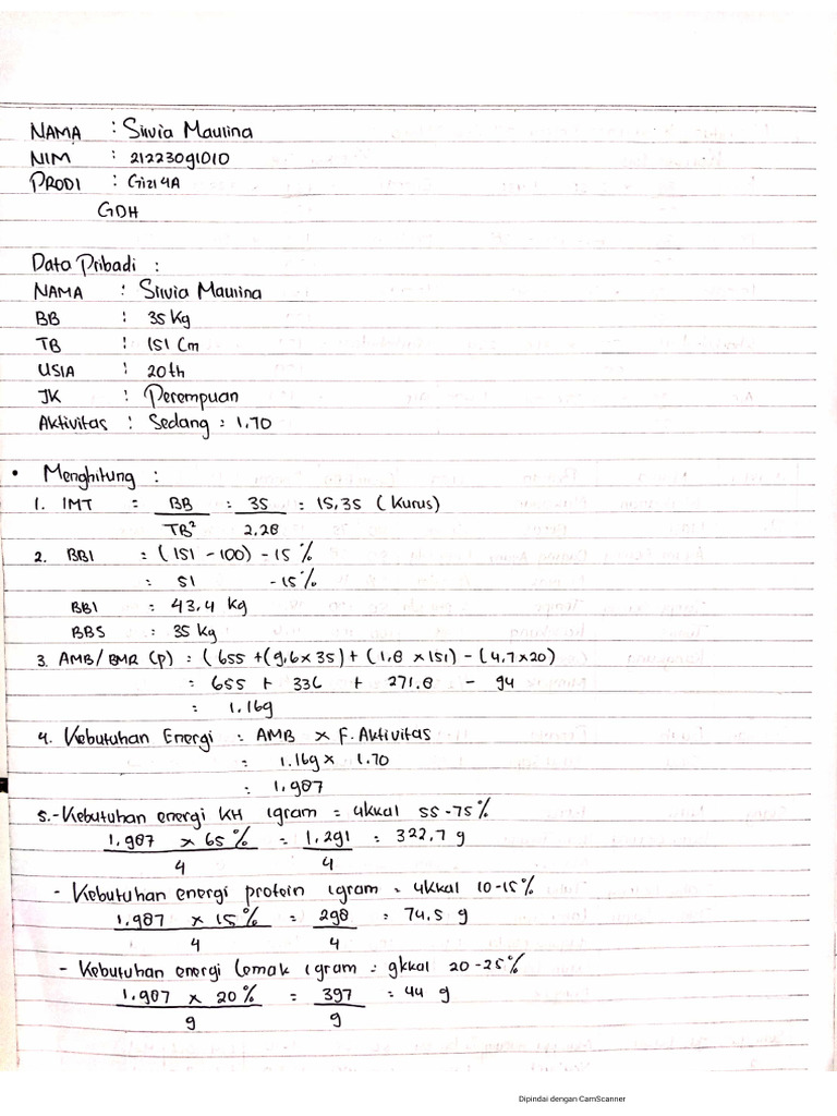 GDH Menghitung Kkal | PDF