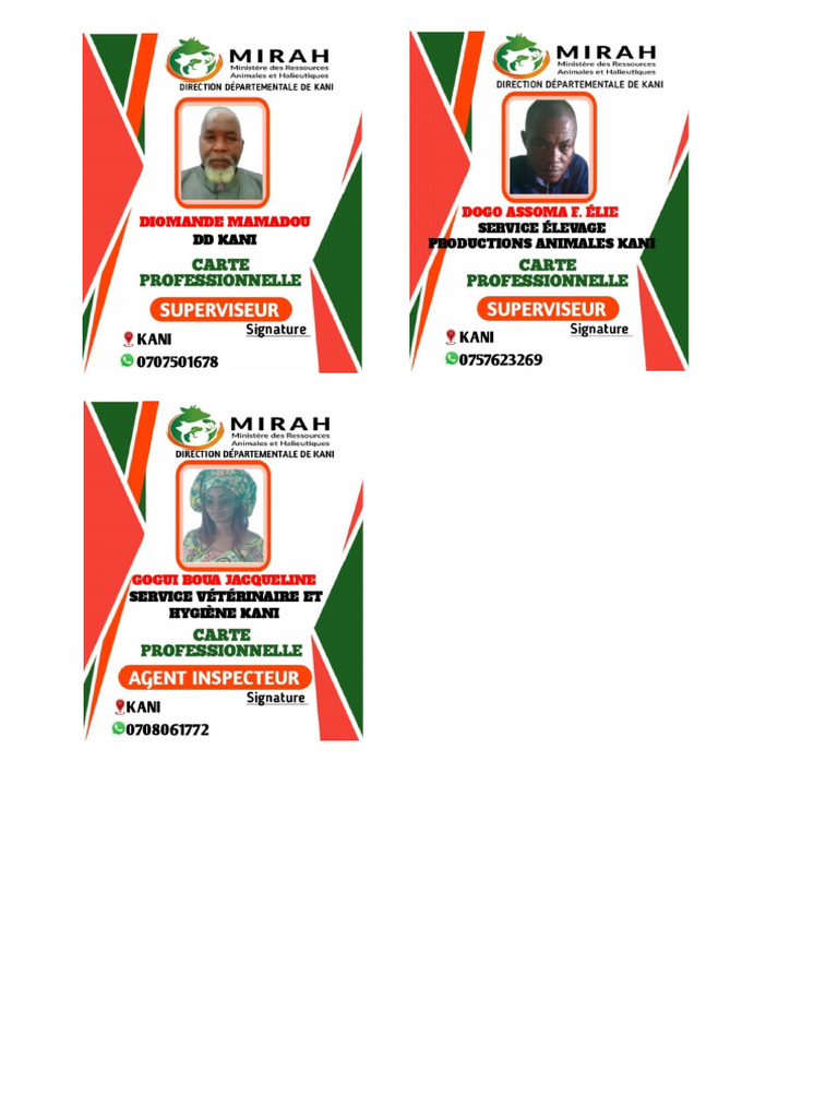 Carte Professionnelle | PDF