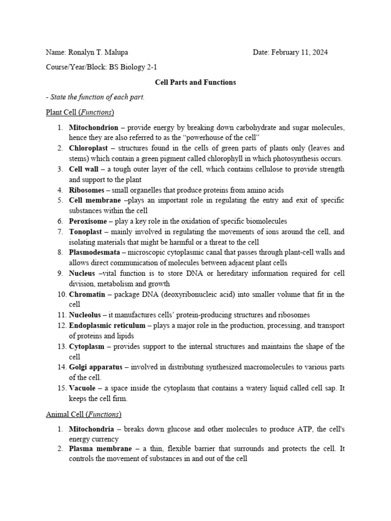 Genetics - Functions | PDF | Cell (Biology) | Bacteria
