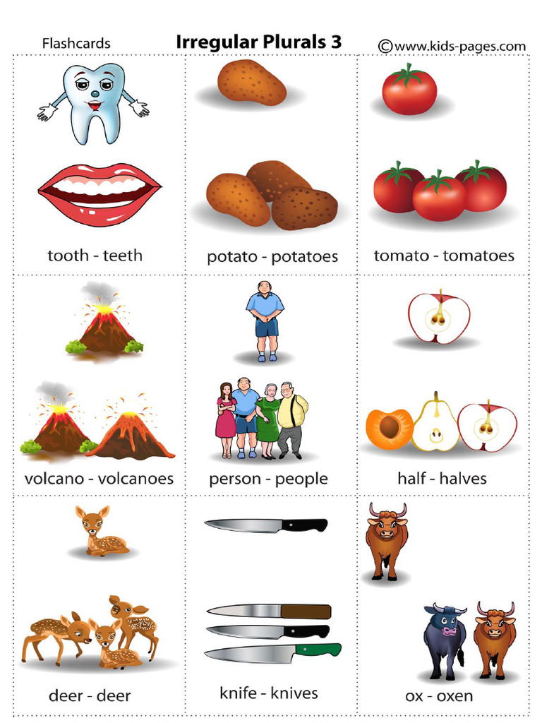 Irregular Plurals3 | PDF