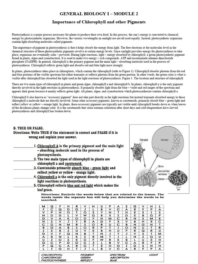 GENERAL BIOLOGY I | PDF | Photosynthesis | Chlorophyll