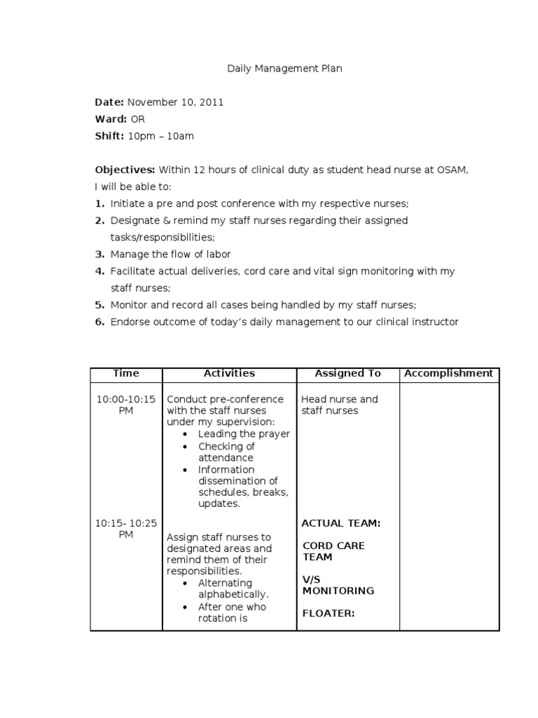 daily-management-plan-format-pdf