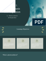 Ppt-Grade 9 - Respiratory System | PDF | Respiratory Tract | Lung