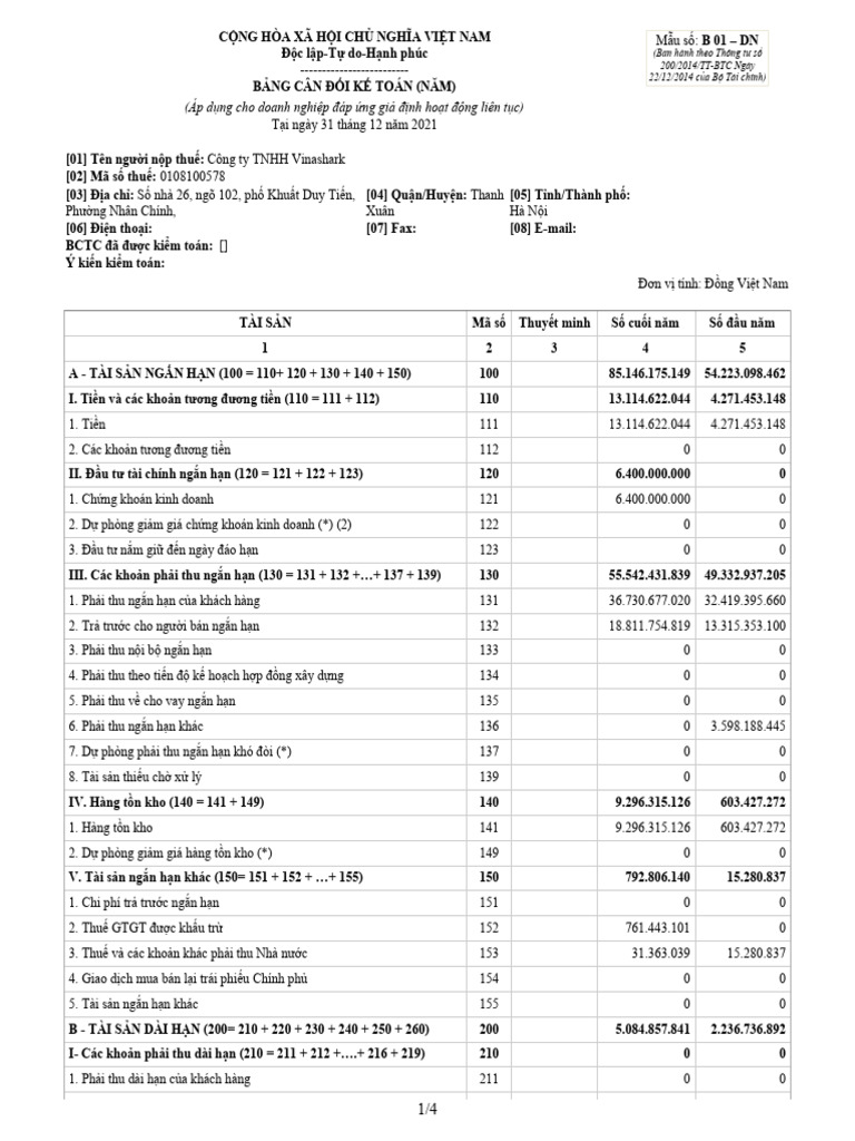 1,2,3,4. BCTC 2021-Trang | PDF