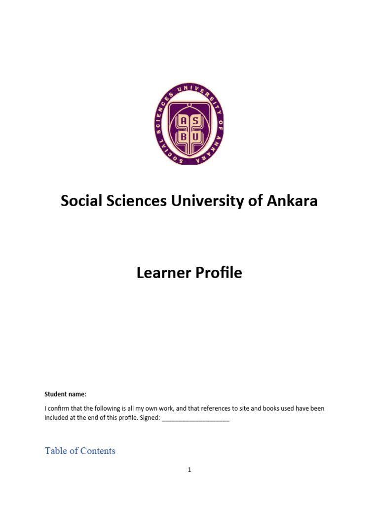 Learner Profile: English Skills Analysis | PDF | English Language | Word