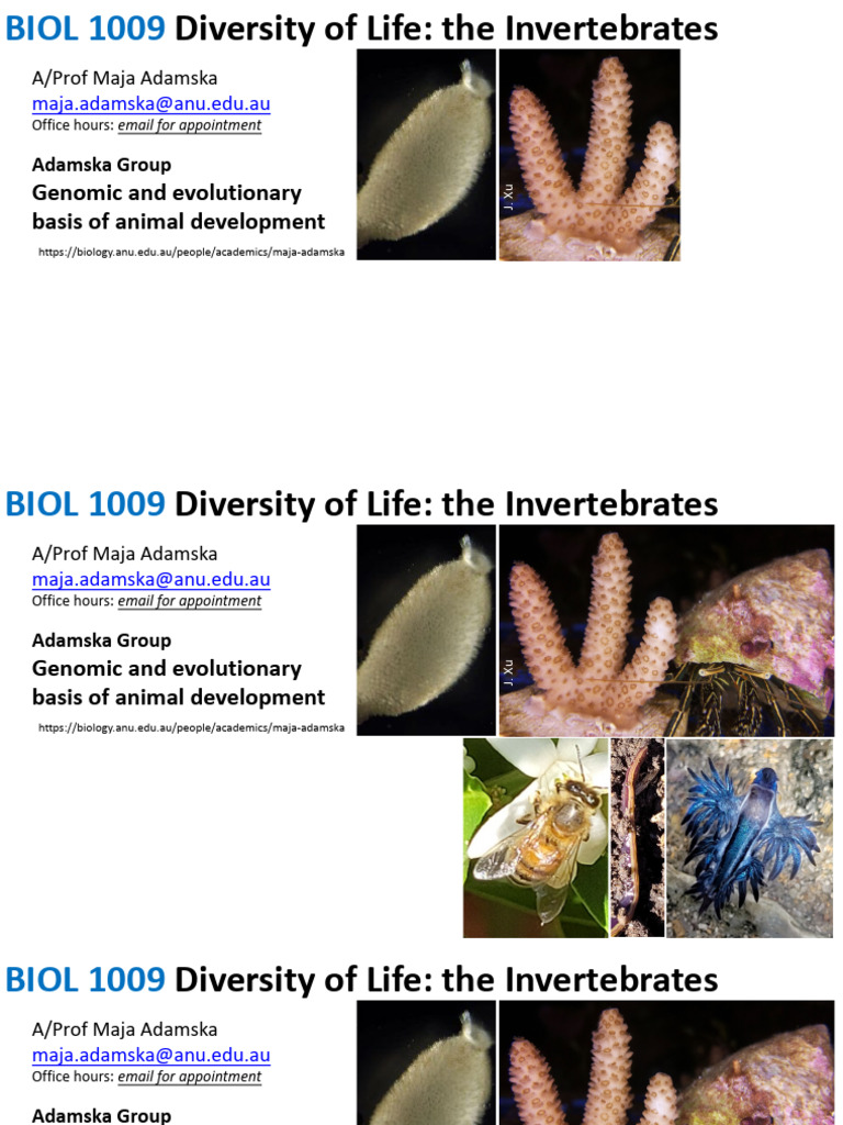 BIOL1009 2023 Invertebrates Lecture 1 | PDF | Zoology