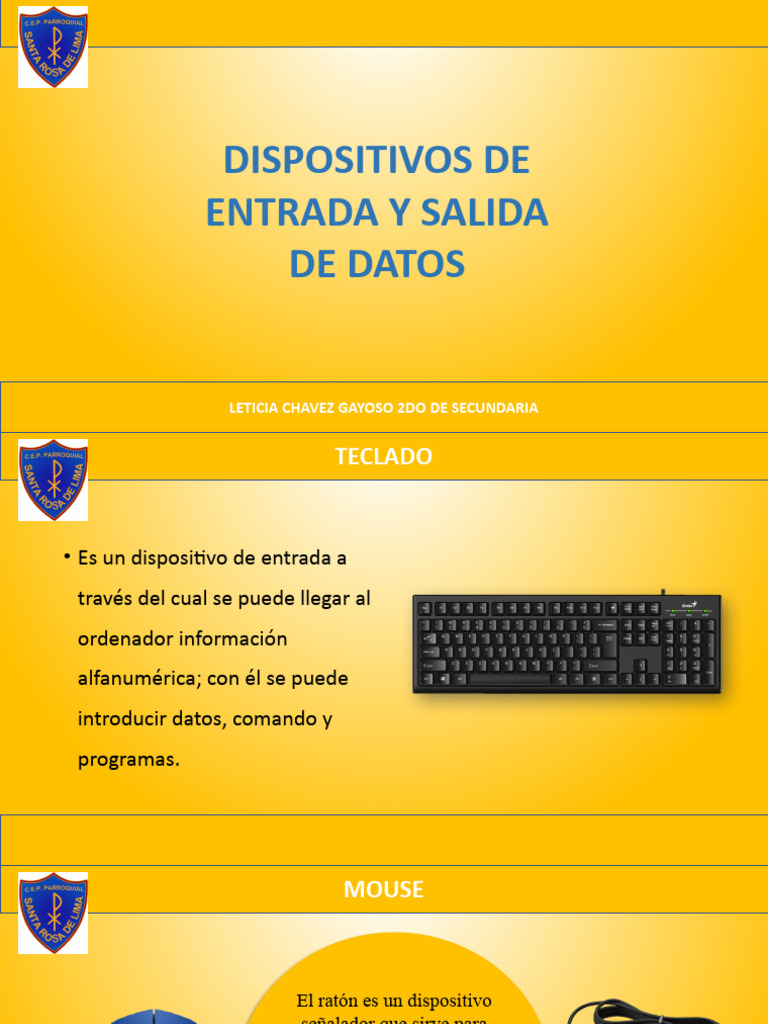 DISPOSITIVOS DE ENTRADA Y SALIDA | PDF