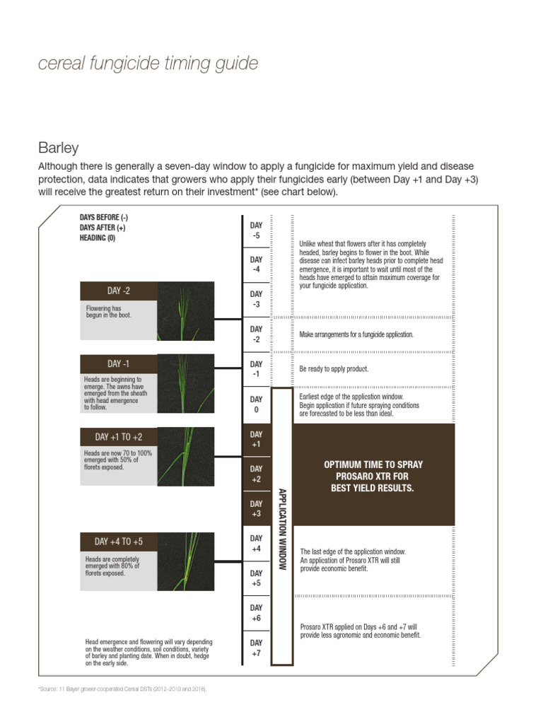 Barley and Wheat Timing Guides - ENGLISH | PDF | Humidity | Wheat