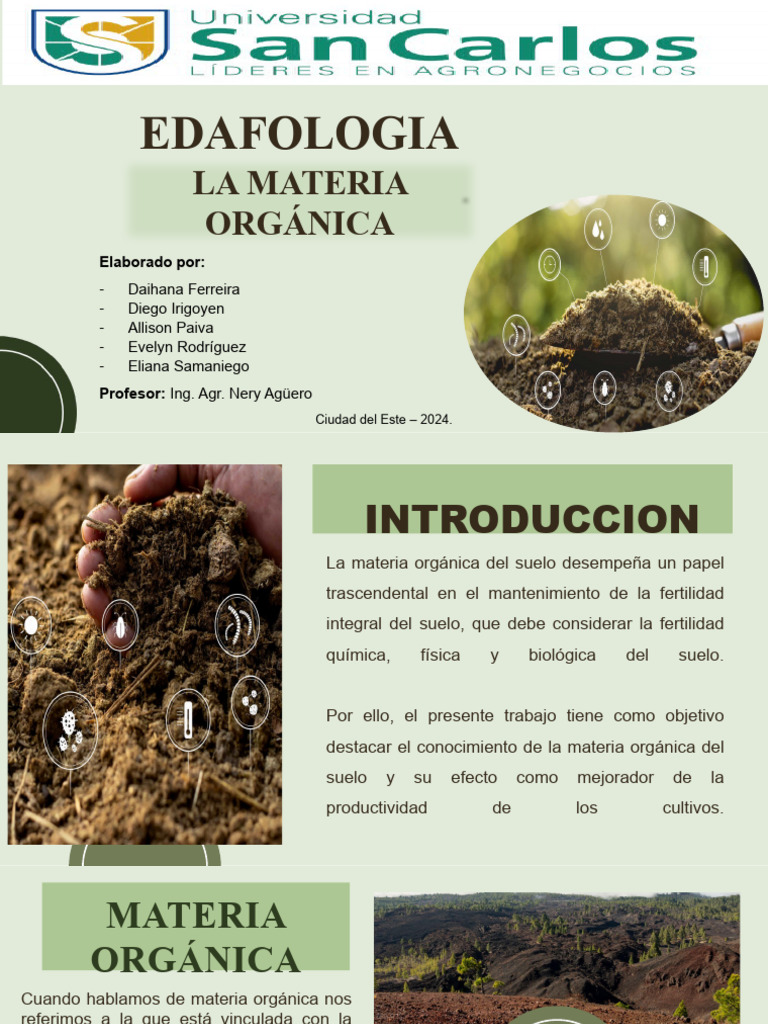 EDAFOLOGIA | PDF | Suelo | Descomposición