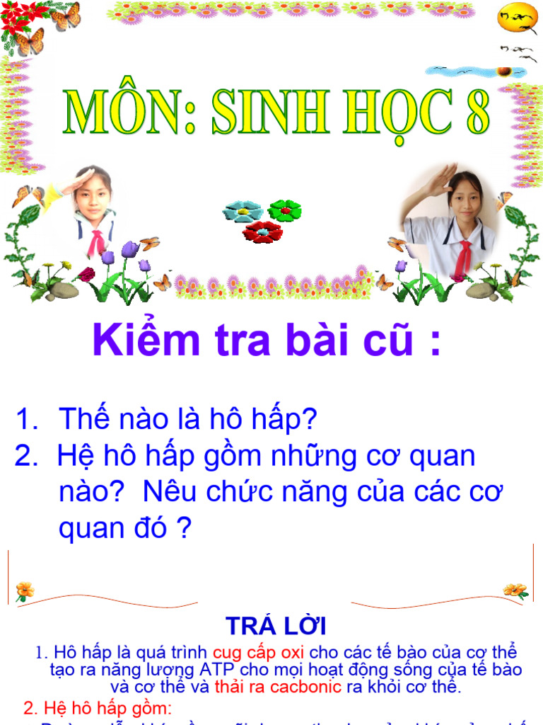 Tiet 23 Hoat Dong Ho Hap 15520239 | PDF