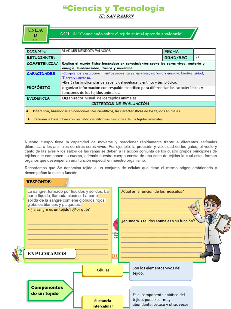 D2º Act 4 Cyt Unid 1 - Sem 4 | PDF | Músculo | Epitelio