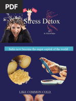 Financial Stress Scale | PDF