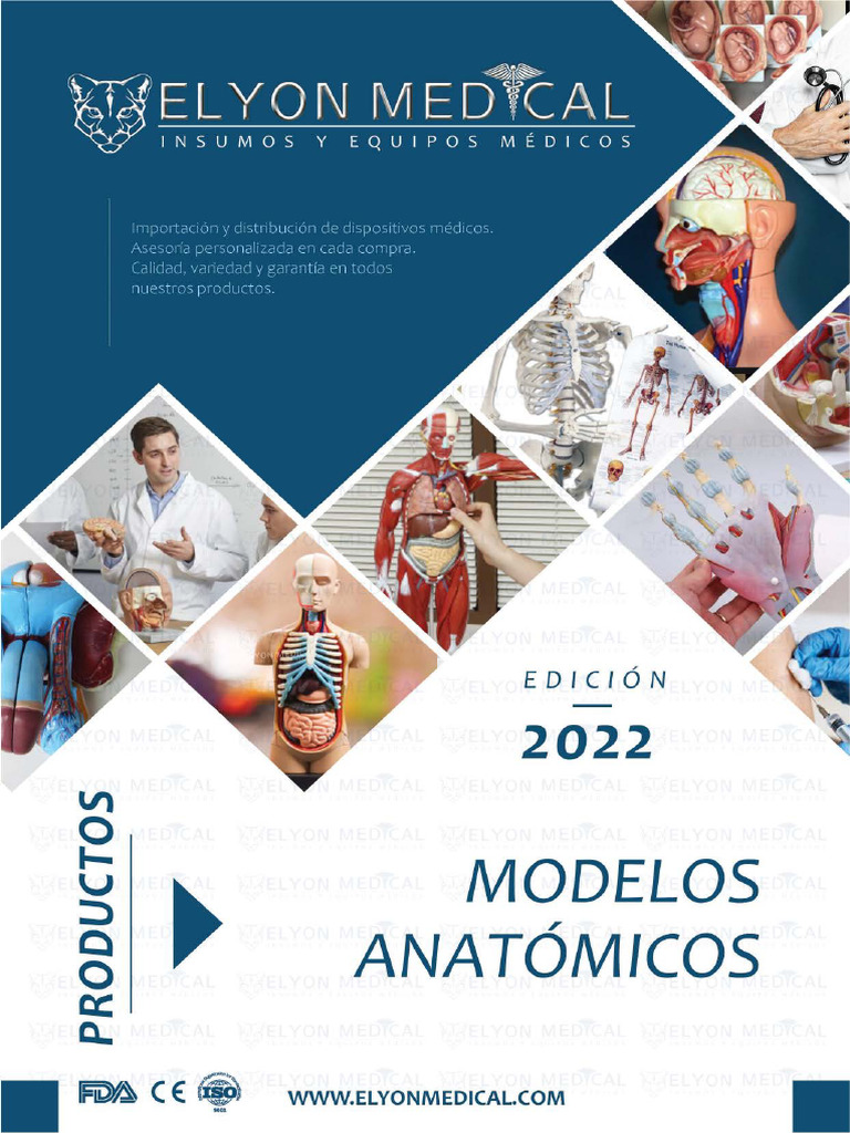 Modelos Anatomicos | PDF