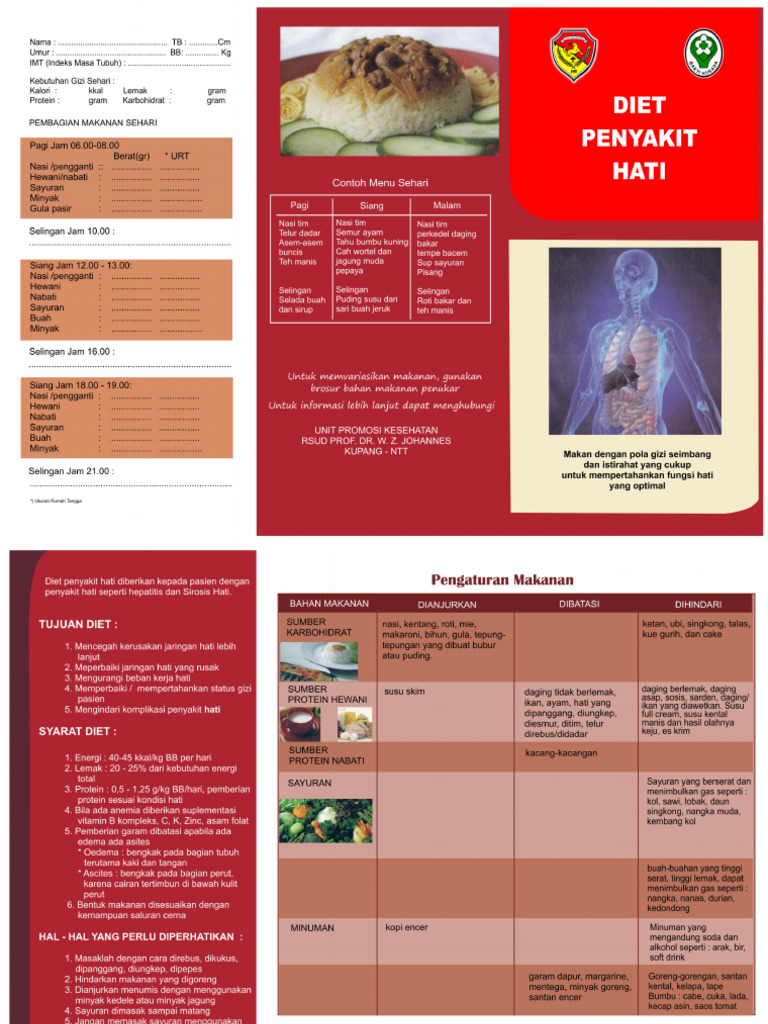 Diet Penyakit Hati | PDF