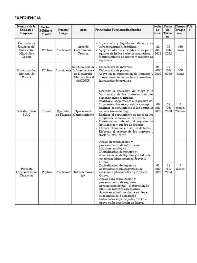 Experiencia Laboral | PDF