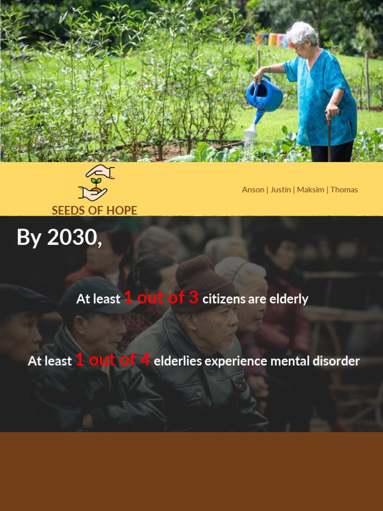 LABU2060 Pitch | PDF | Vegetables