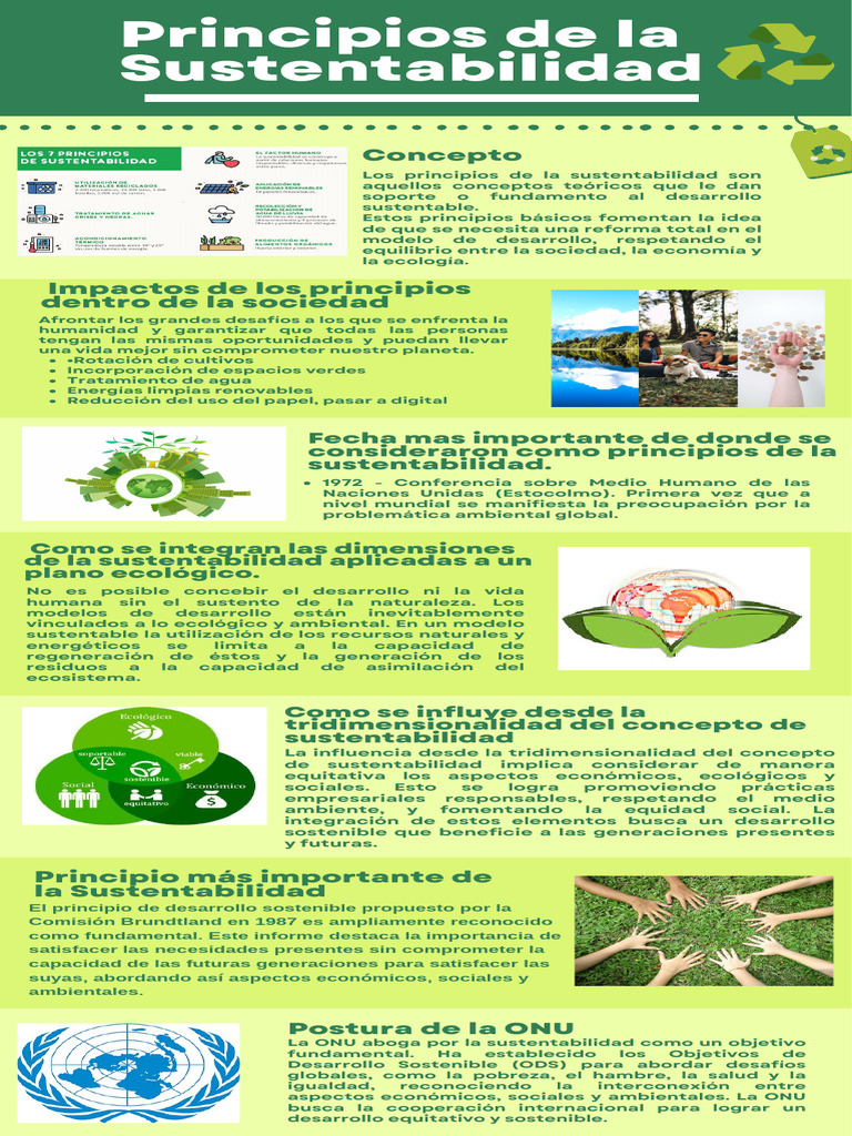 Principios de La Sustentabilidad | PDF | Sustentabilidad | Desarrollo sostenible
