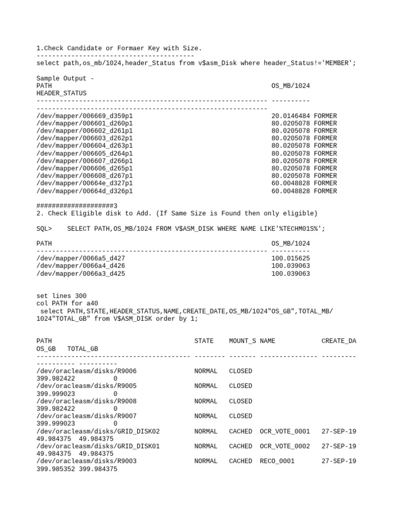 Asm Disk Work | PDF | Computing | Computer Architecture