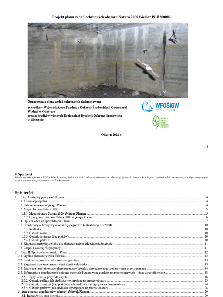 Projekt Pzo Gierloz | PDF