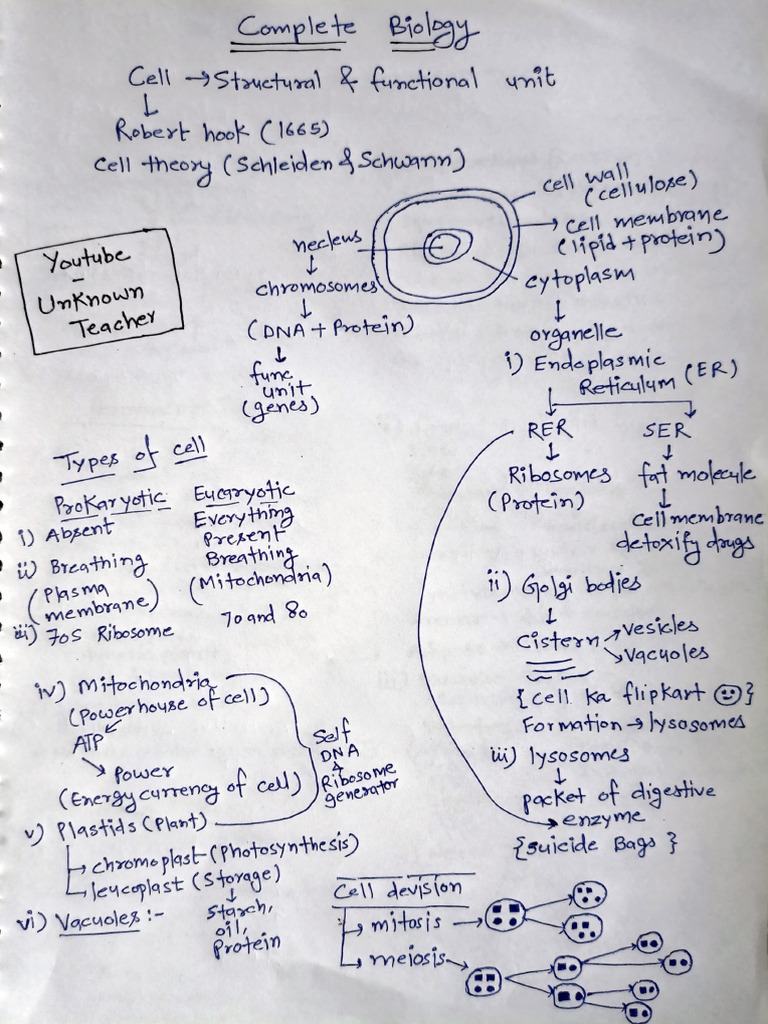 Cells Super Notes by Unknown Teacher | PDF | Lysosome | Cell (Biology)