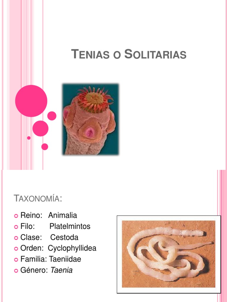 Tenias o Solitarias | PDF | Parásitos | Animales y humanos
