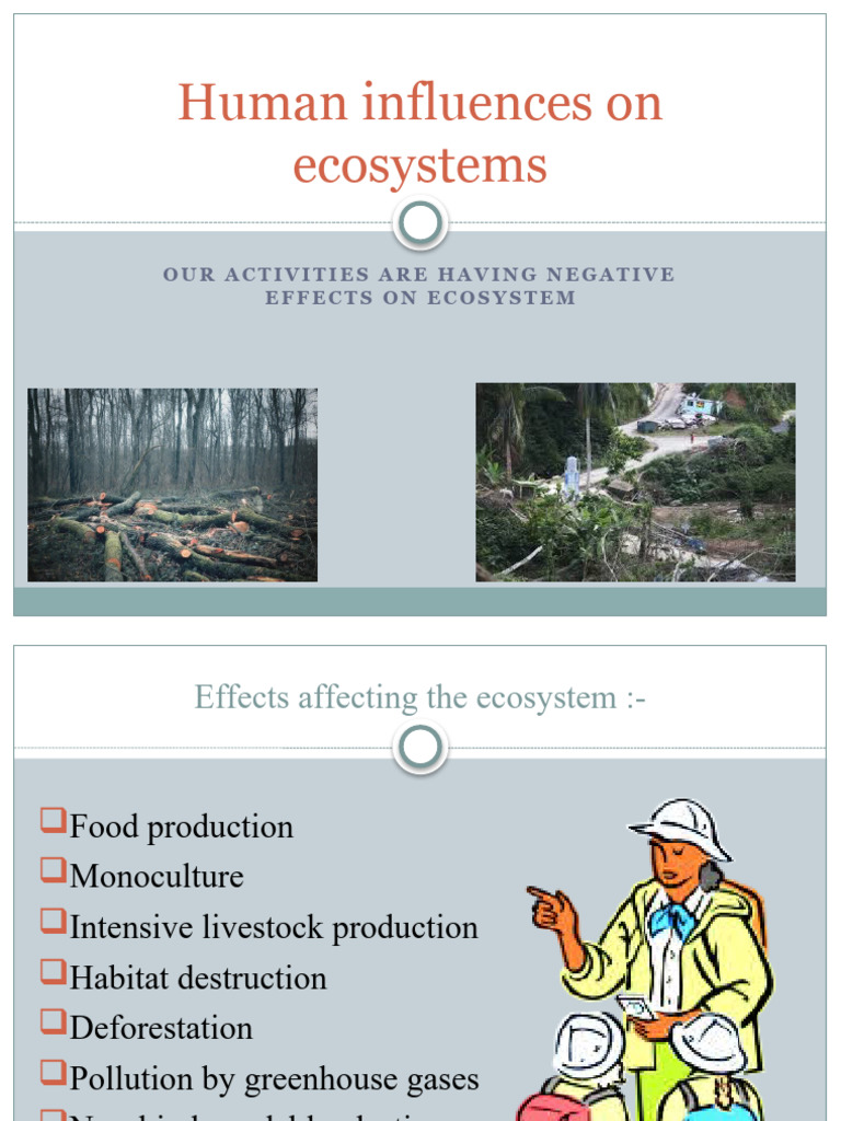Human Influences On Ecosystems | PDF | Agriculture | Deforestation