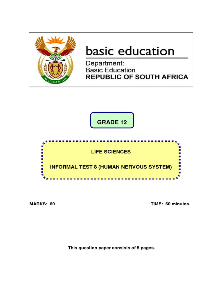 Grade 12 Nervous System Test Paper | PDF | Nervous System | Stimulus ...