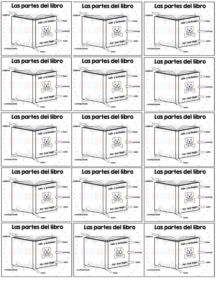 Partes Del Libro | PDF