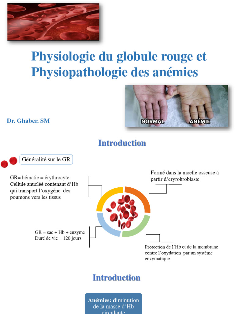 Physiologie et Anémies des Globules Rouges | PDF | Anémie | Globule rouge