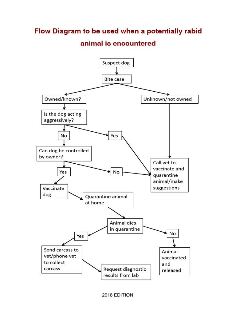 Animal Bite Case Flow Diagram | PDF