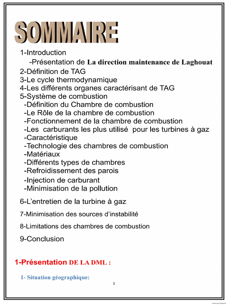 Rapport de Stage Du Urbine A Gaz Alter | PDF