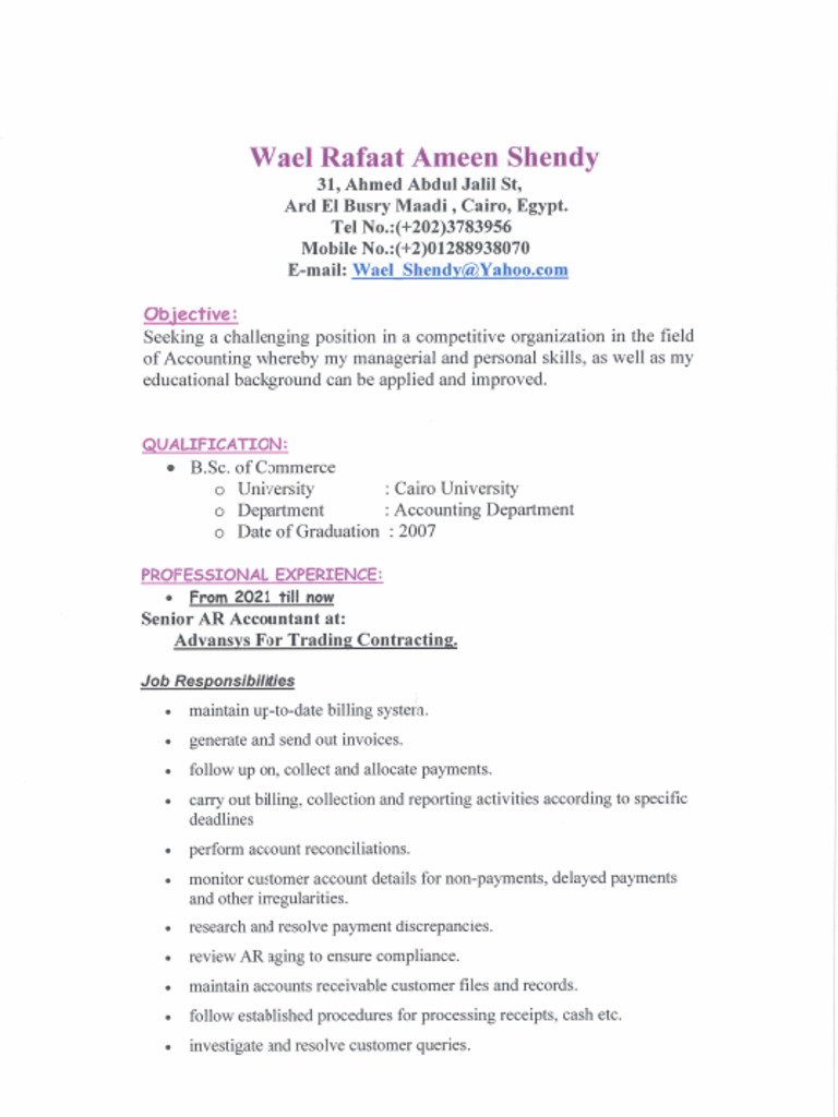 Wael Shendy-CV-1 - 2 | PDF